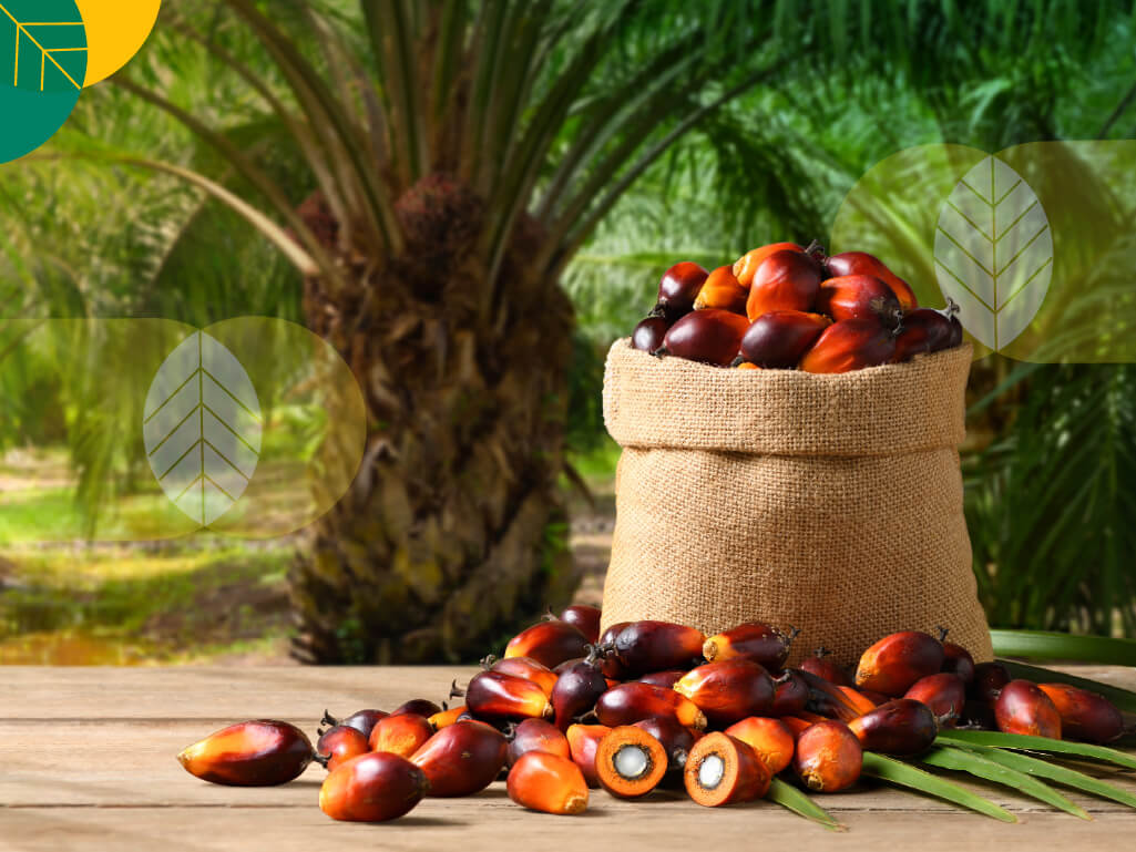 Kejagung Didesak Segera Umumkan Nama Pejabat KLHK yang Terlibat Dugaan ...