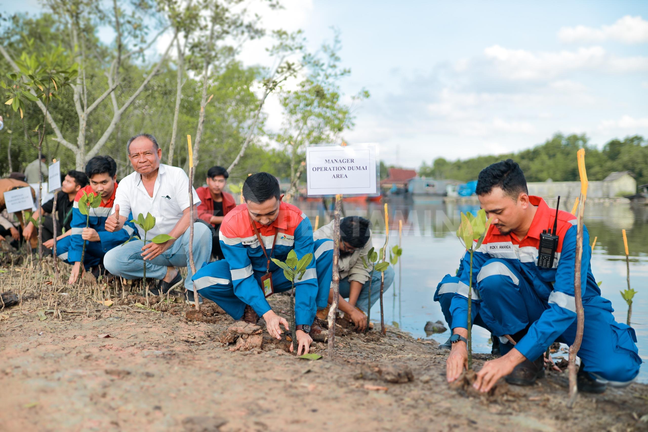 Program Hutan Lestari Pertamina, Berhasil Tanam 9 Juta Pohon Sejak 2018 - Kedai Pena